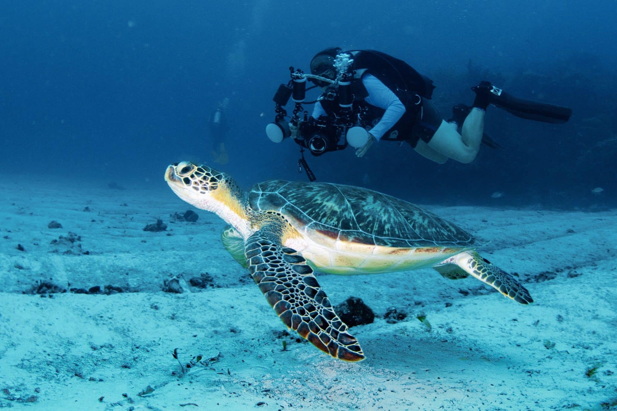 Ocean Cay MSC Marine Reserve : bien préparer votre escale